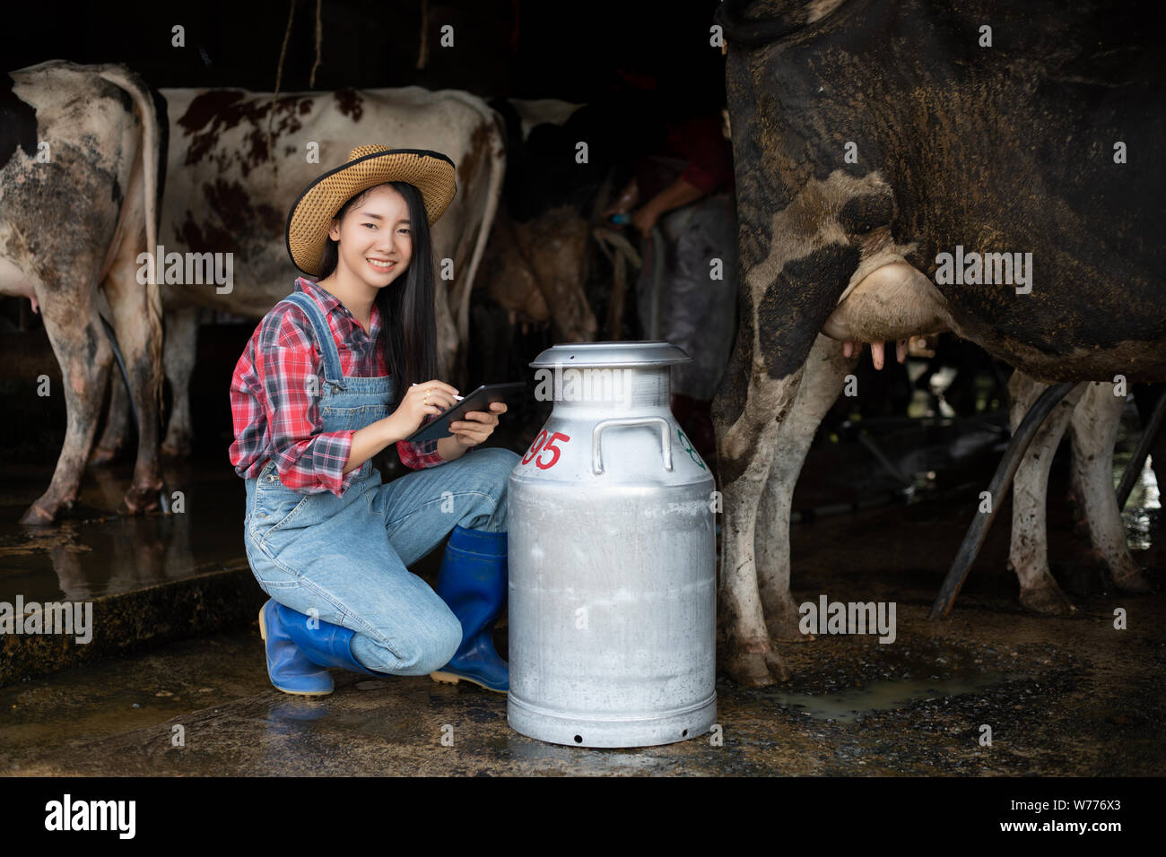 Asian women farming and agriculture industry and animal husbandry ...