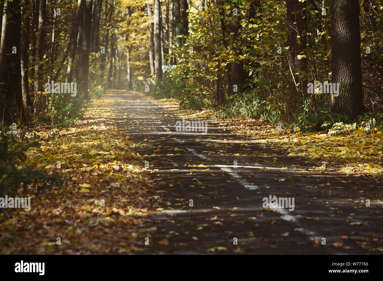 Warm colored road hi-res stock photography and images - Alamy