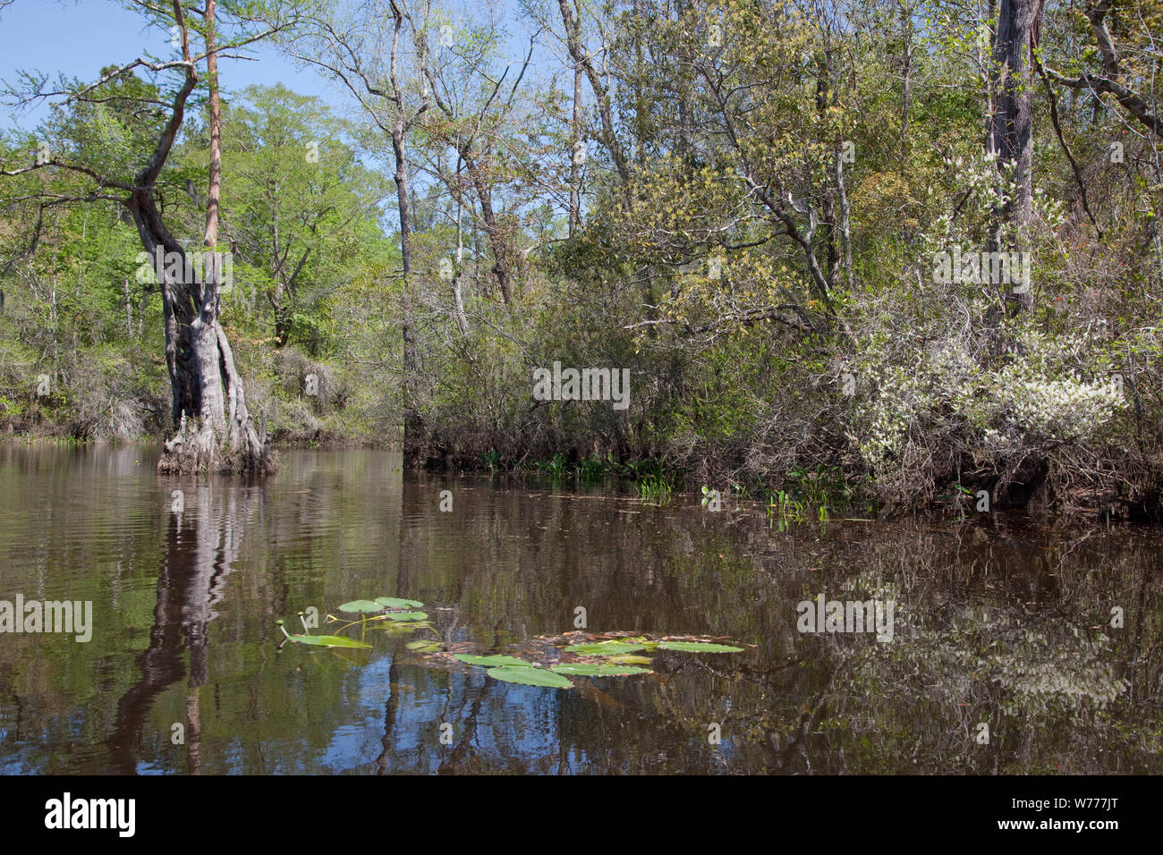 323 acres of water just north of mobile bay hi-res stock photography ...