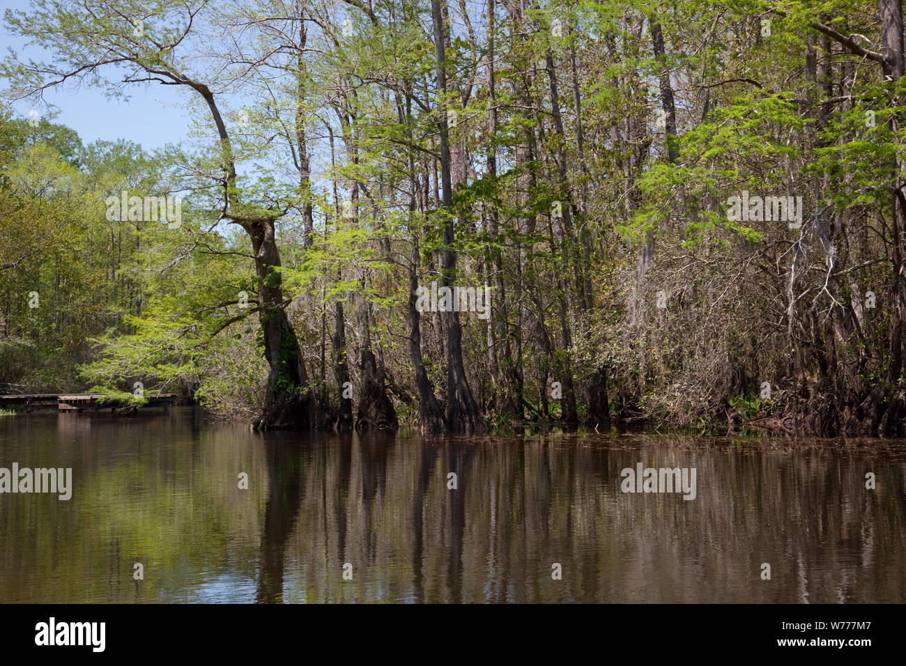 1974 2010 hi-res stock photography and images - Alamy