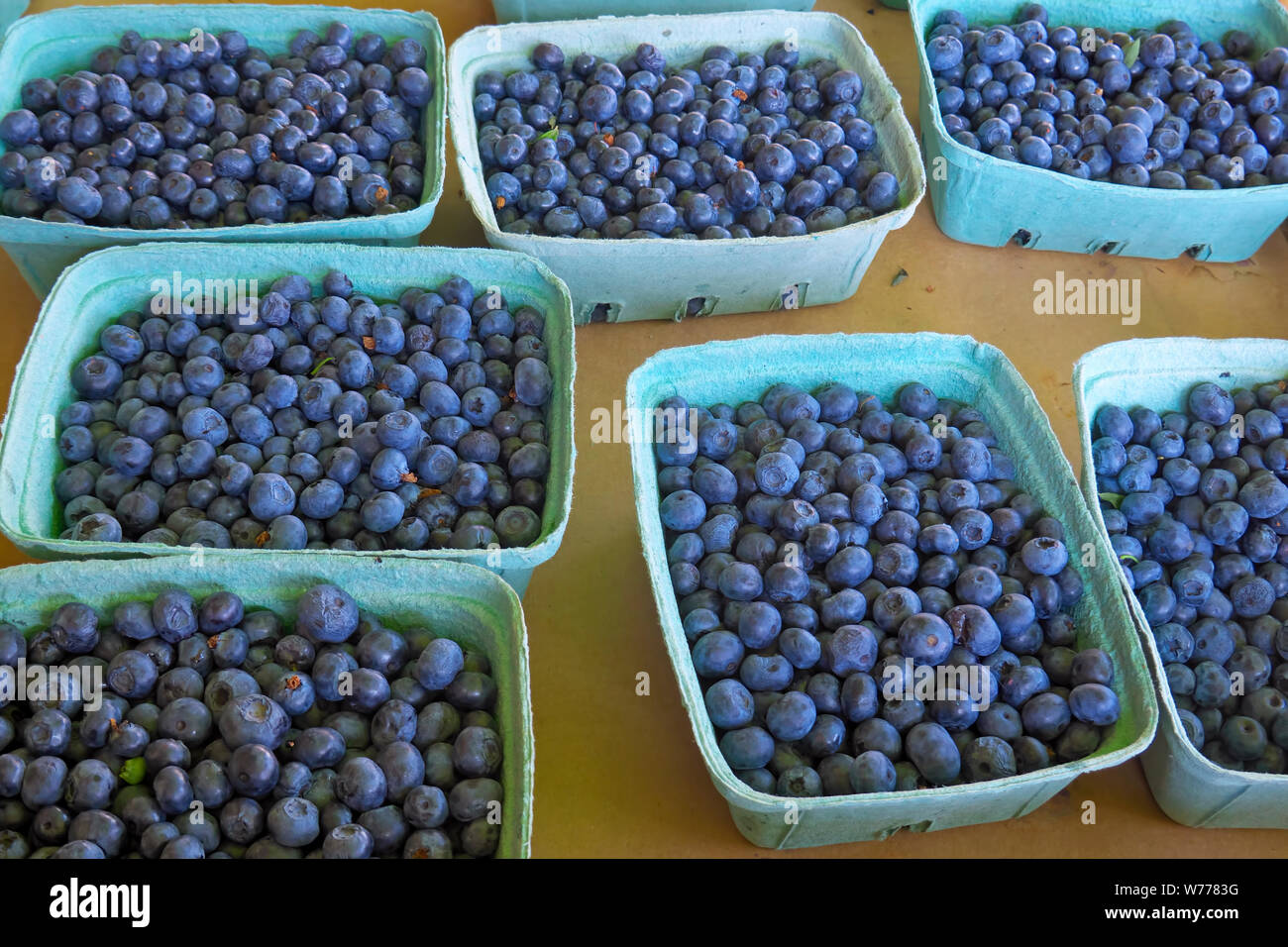 Baskets of freshly picked blueberries for sale at an outdoor market ...