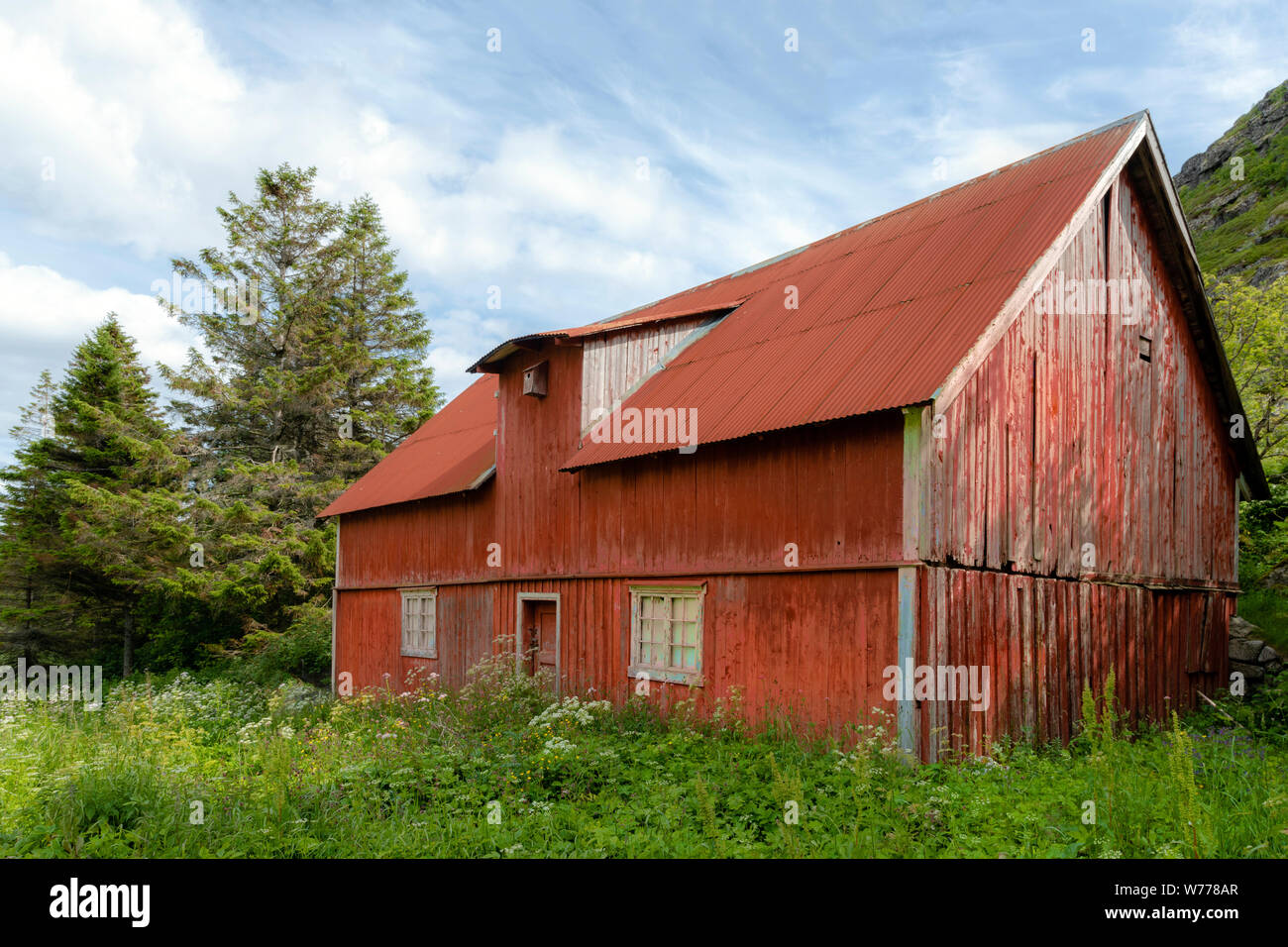 Weathered red cottage in lush green habitat on Skrova Island, Lofoten ...