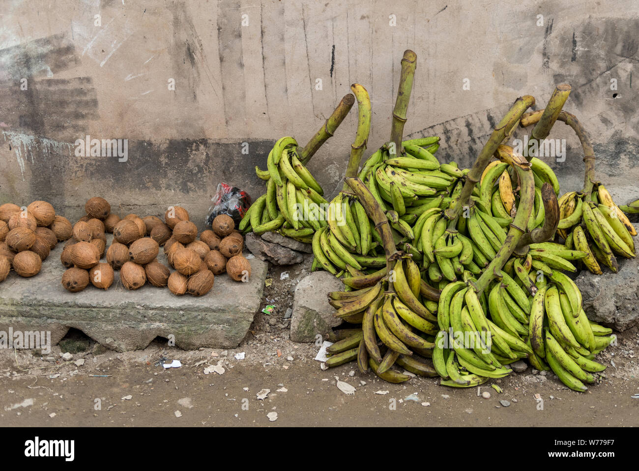 Bananas and Coconuts Stock Photo - Alamy