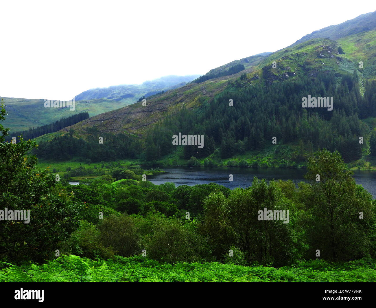 Loch Trool Visitors centre and forest trails, Scotland - A view of Loch ...