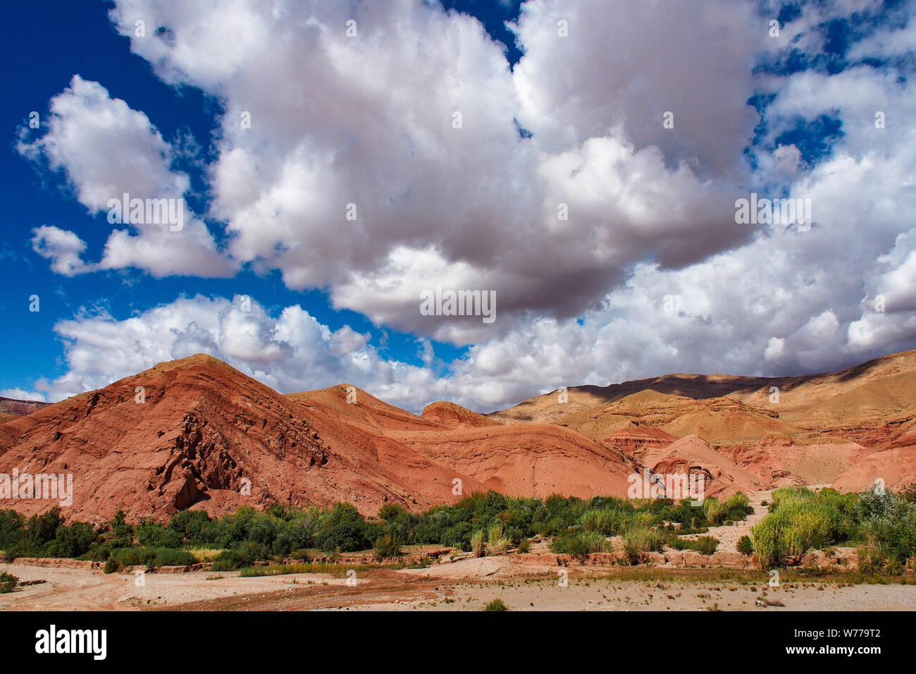 the beautiful Rose Valley - Vallee des Roses, near Ouarzazate, Morocco ...