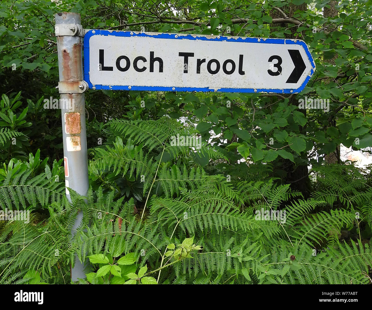 Loch trool sign hi-res stock photography and images - Alamy