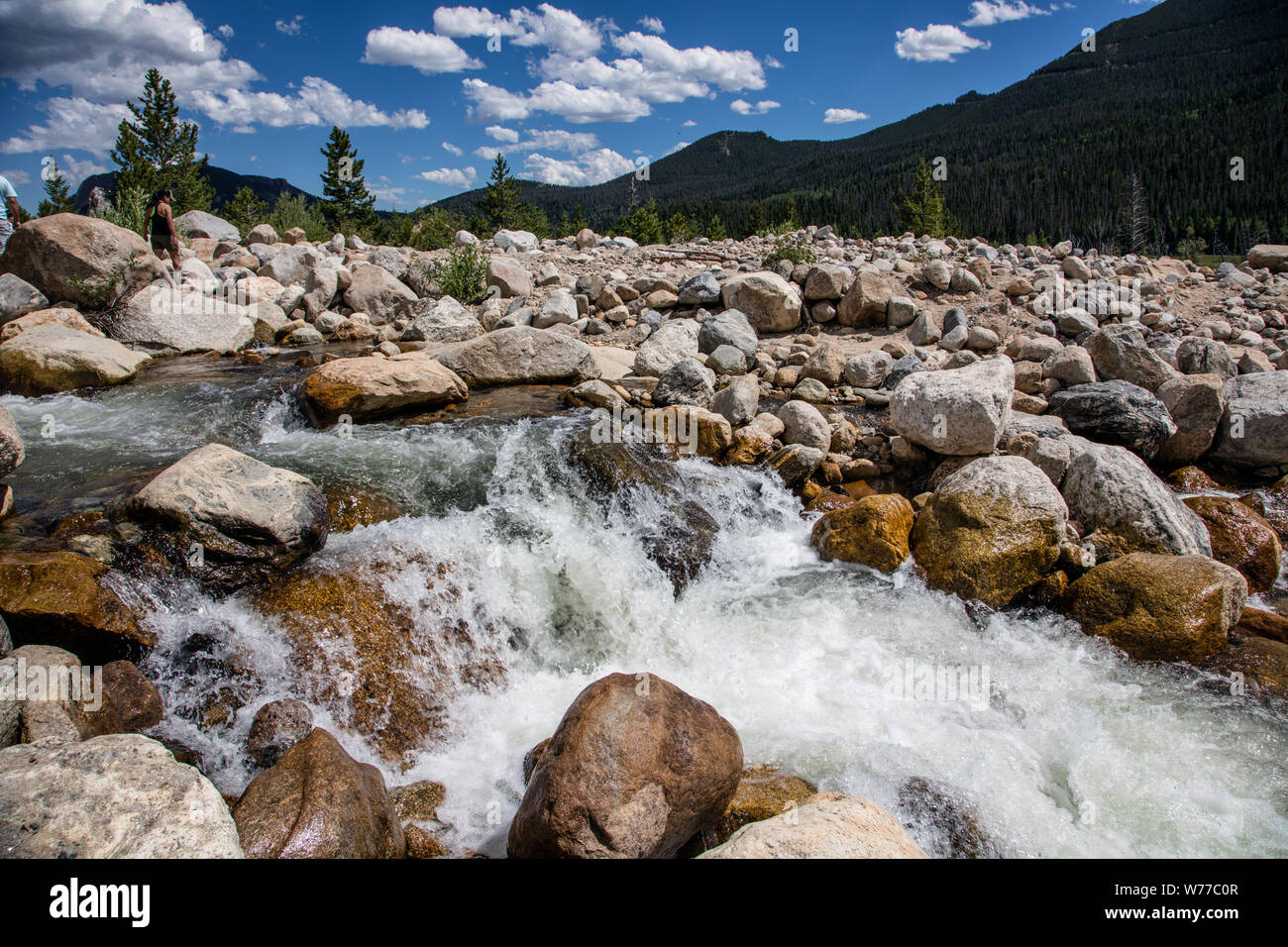 Rocky Mountain Stream