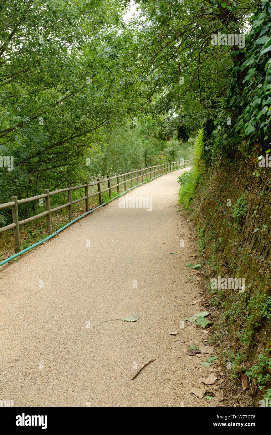 Sand walkway path on a green forest Stock Photo - Alamy