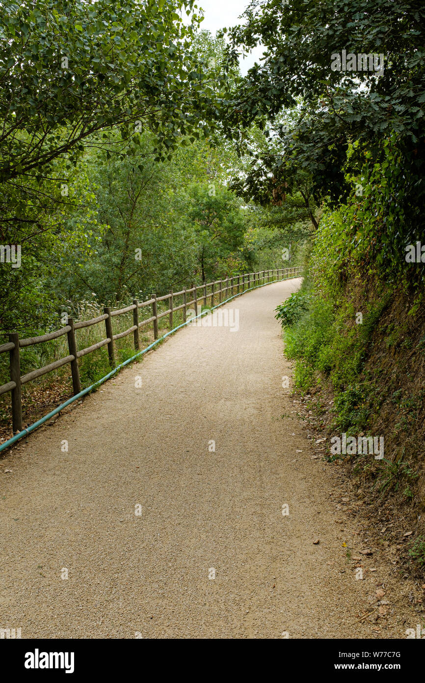 Sand walkway path on a green forest Stock Photo - Alamy