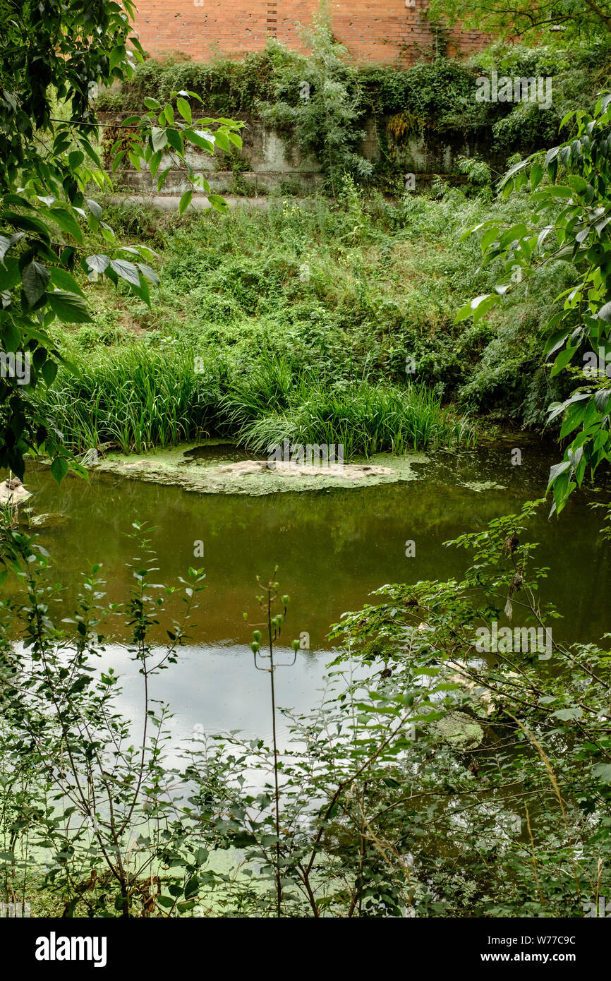 Green landscape with polluted river water in Girona, Catalonia Stock ...