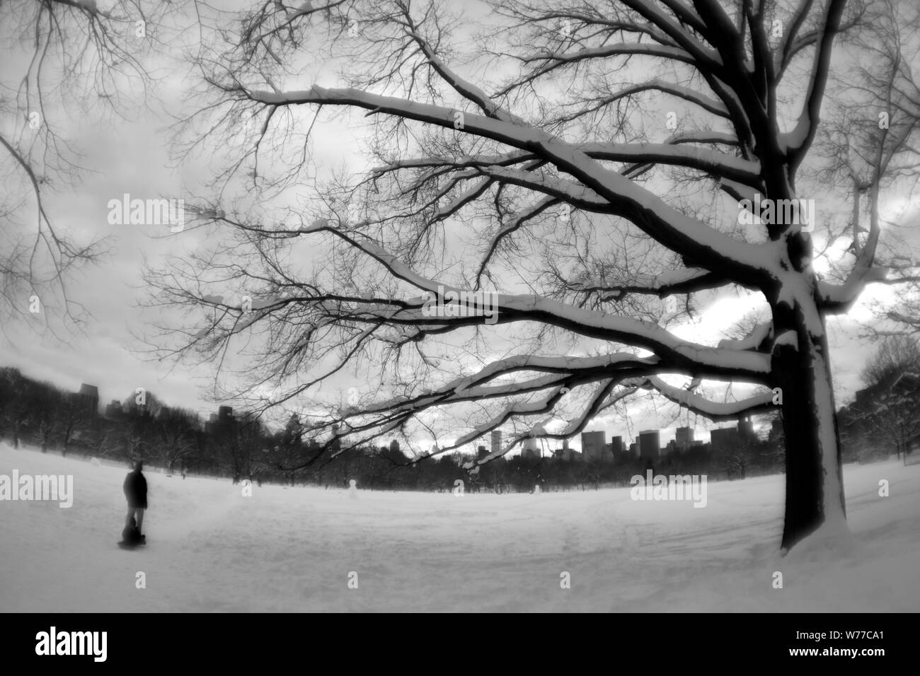 Snowy day Black and White Stock Photos & Images - Alamy