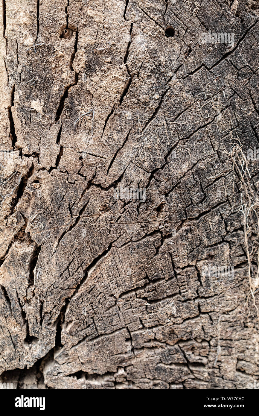 Abstract log hi-res stock photography and images - Alamy