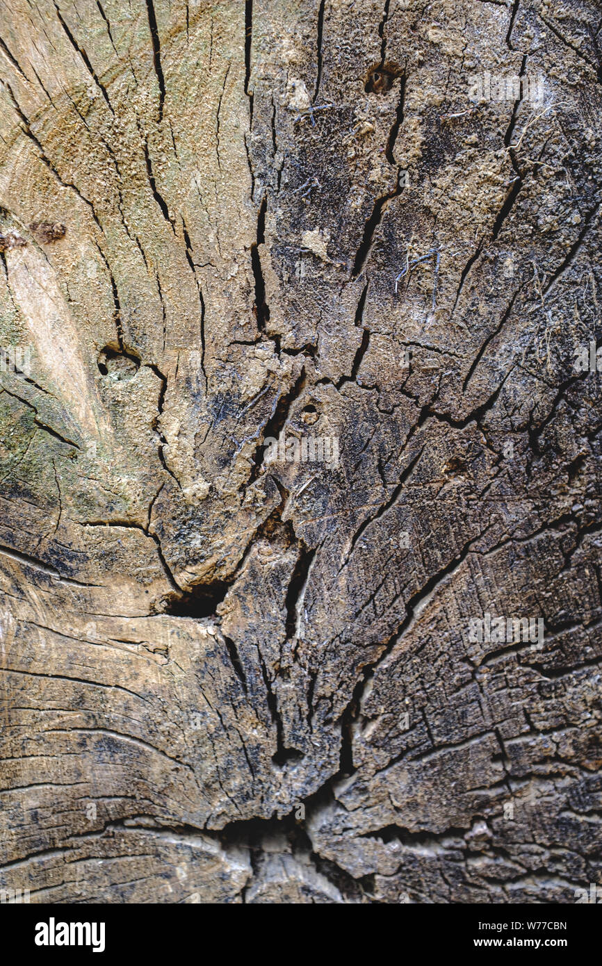 Still texture hi-res stock photography and images - Alamy
