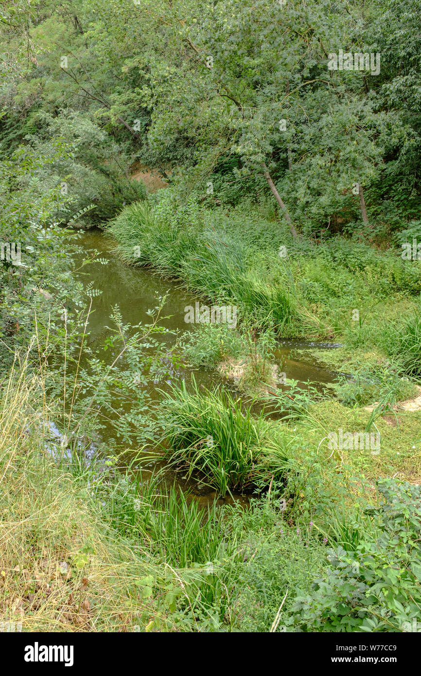 Green landscape with polluted river water in Girona, Catalonia Stock ...