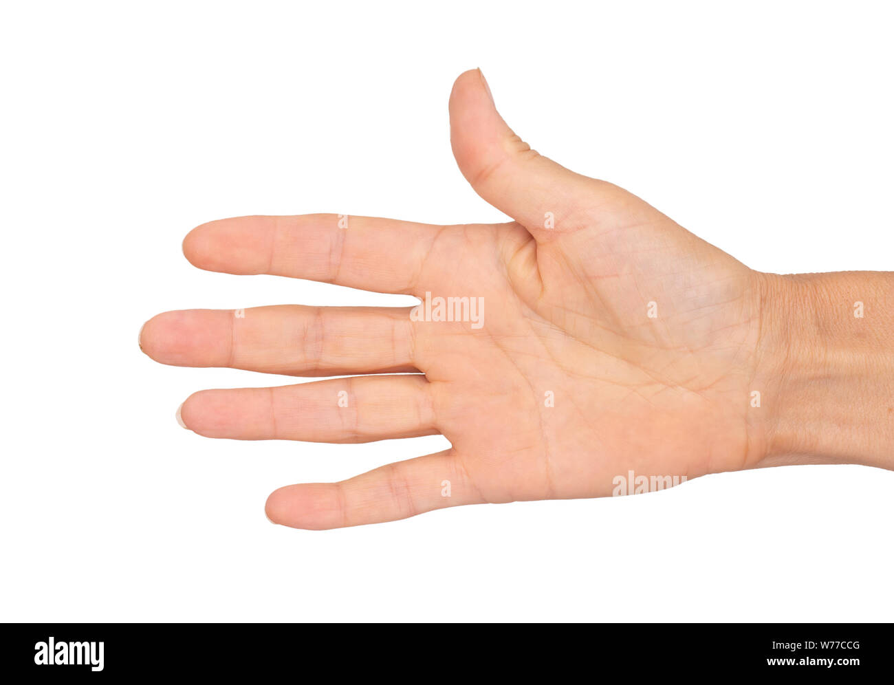 Adult woman's open palm isolated on white background Stock Photo - Alamy
