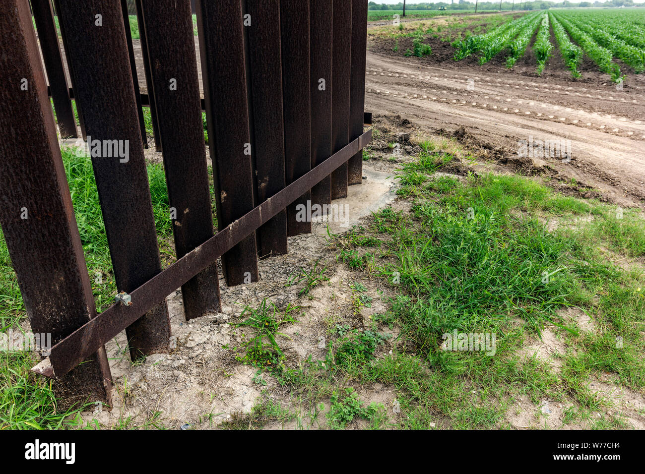 Corn stalks fence hi-res stock photography and images - Alamy