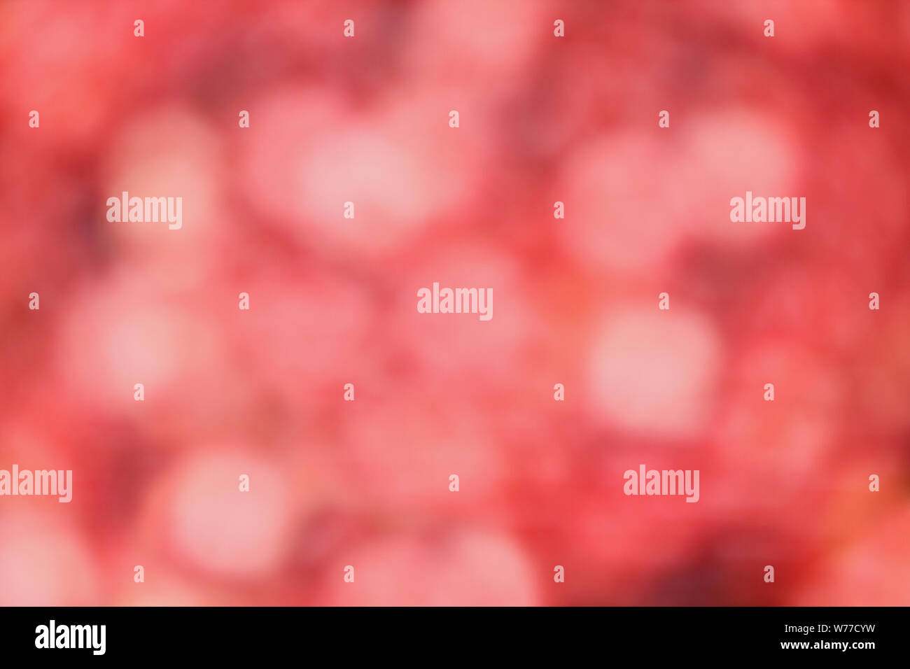 Bokeh background soft focus hi-res stock photography and images - Alamy