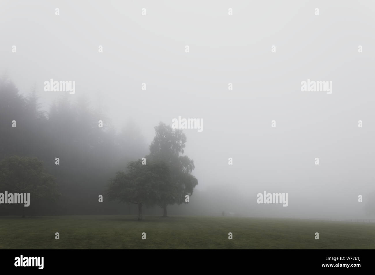 Fog in scotland hi-res stock photography and images - Alamy
