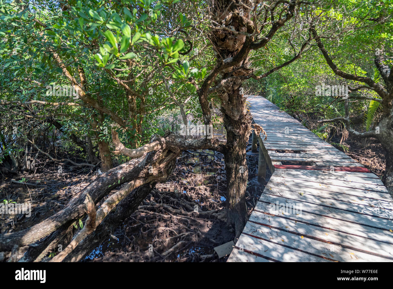 Abu dhabi eastern mangroves hi-res stock photography and images - Alamy