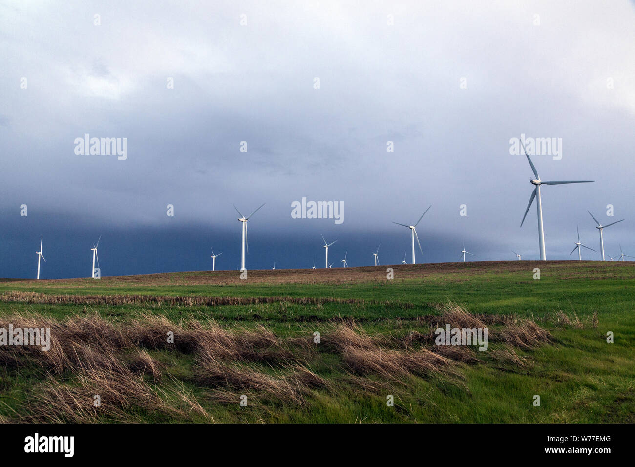Rio vista wind turbines hi-res stock photography and images - Alamy