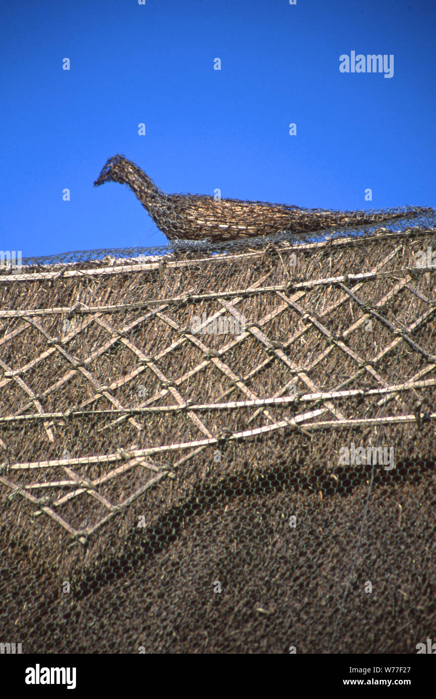 Thatcher's symbol, pheasantc Stock Photo - Alamy