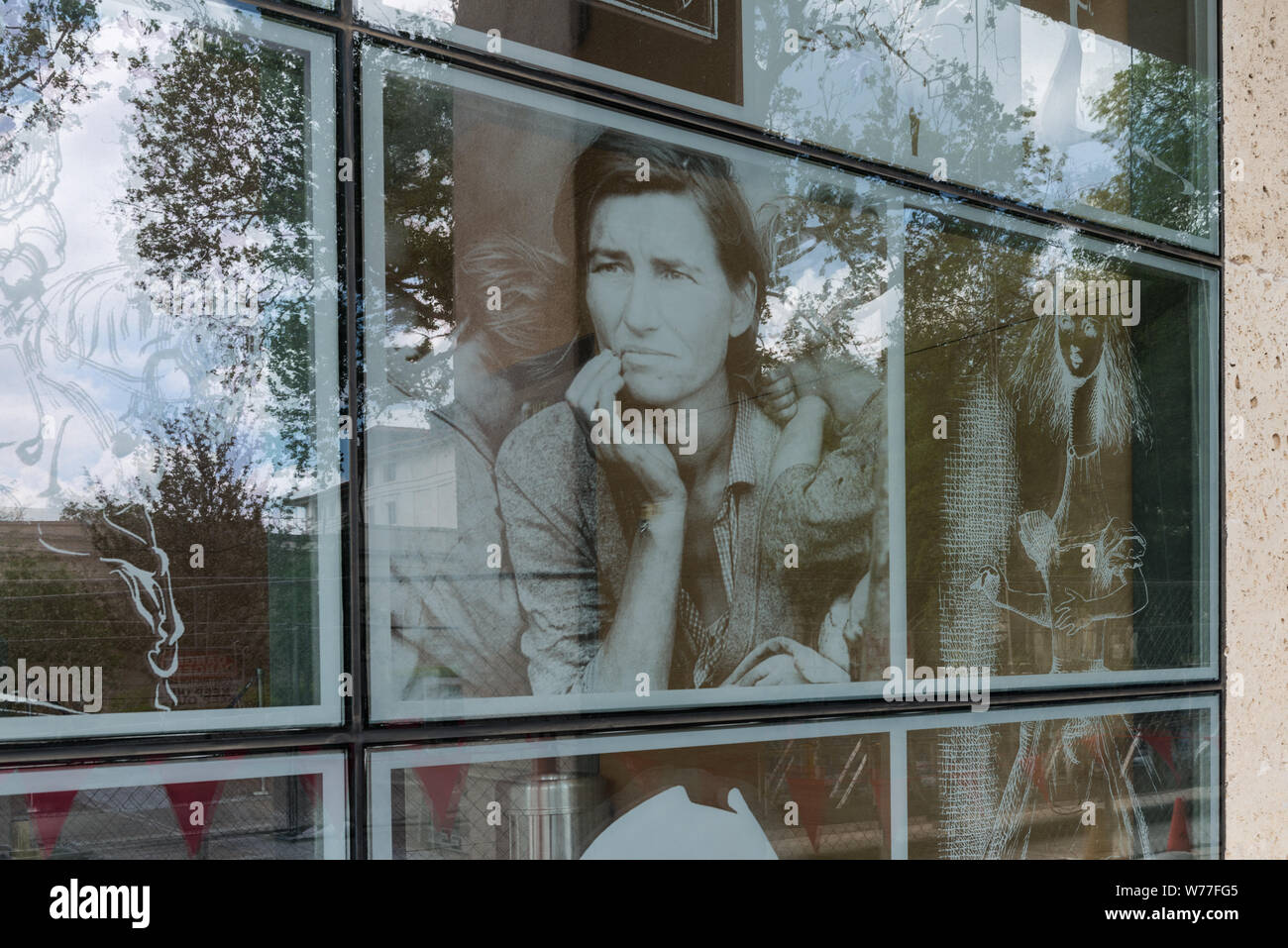 Harry ransom austin hi-res stock photography and images - Alamy