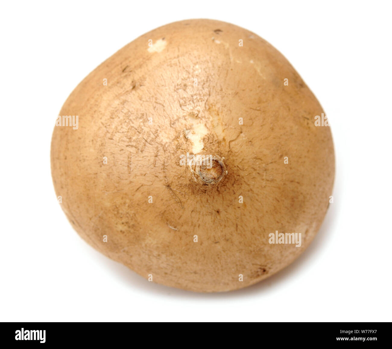Jicama root on white background Stock Photo - Alamy