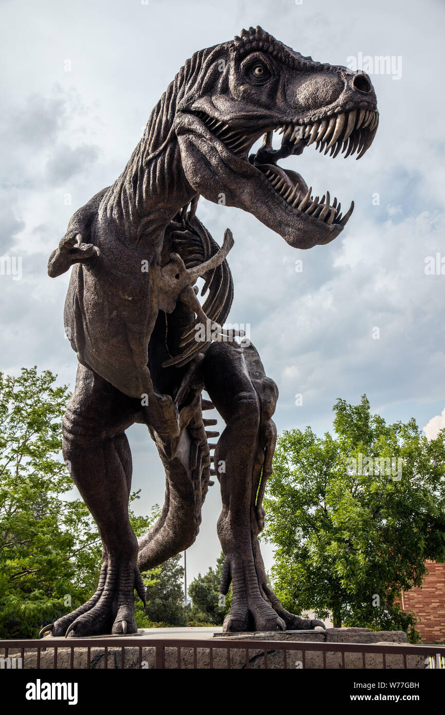 Essence of rex hi-res stock photography and images - Alamy