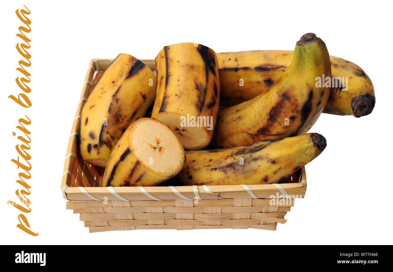 plantain banana (very sweet and delicious when steam or grill Stock ...