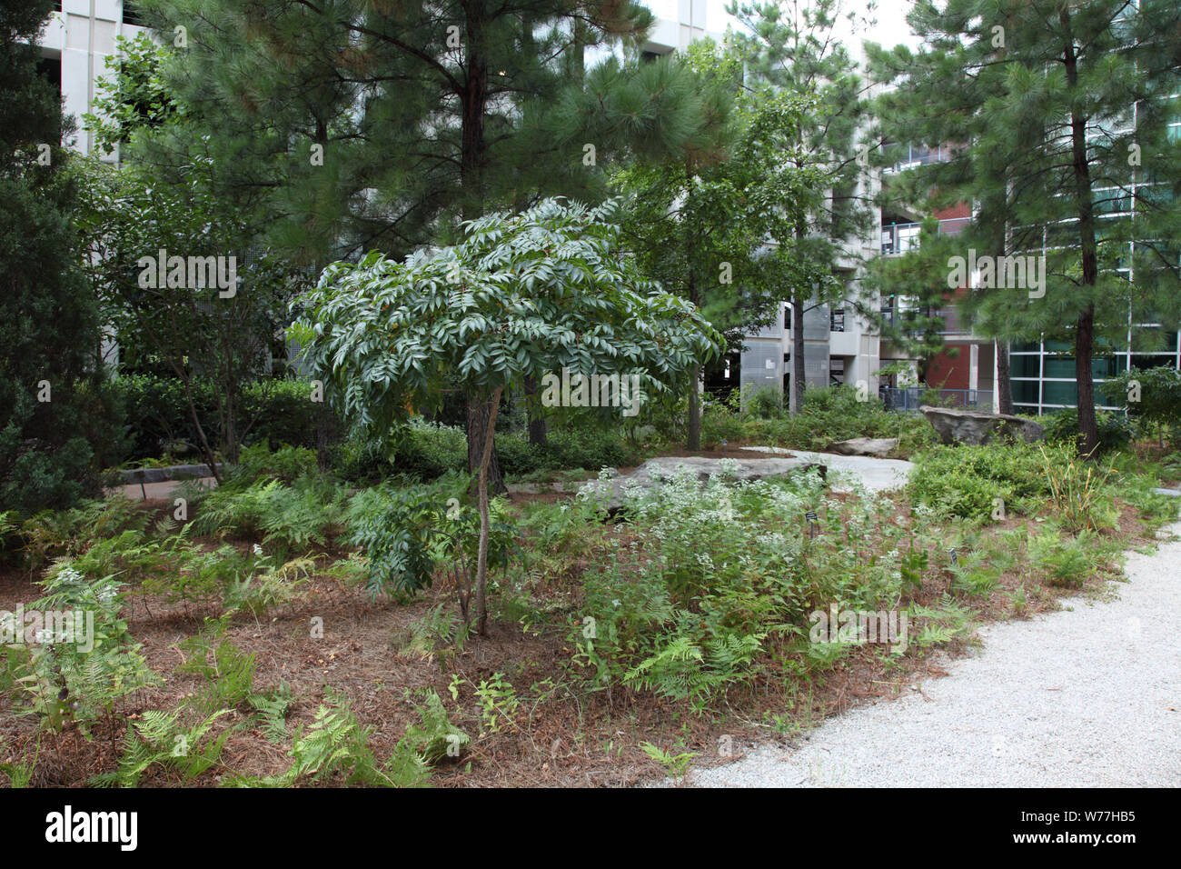 Zones of Change at Edward R. Roybal Building (CDC), Atlanta, Georgia ...
