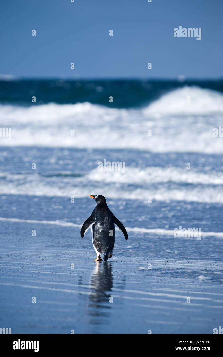 Berthas beach hi-res stock photography and images - Alamy