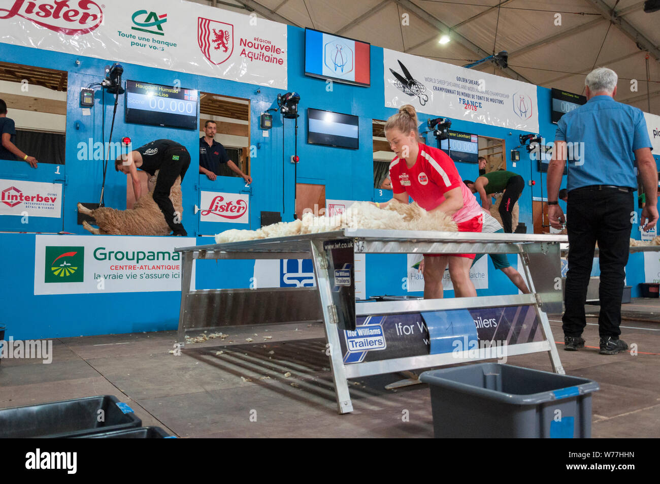 World Sheep Shearing Championships France 2019 Wool Handlers Stock ...