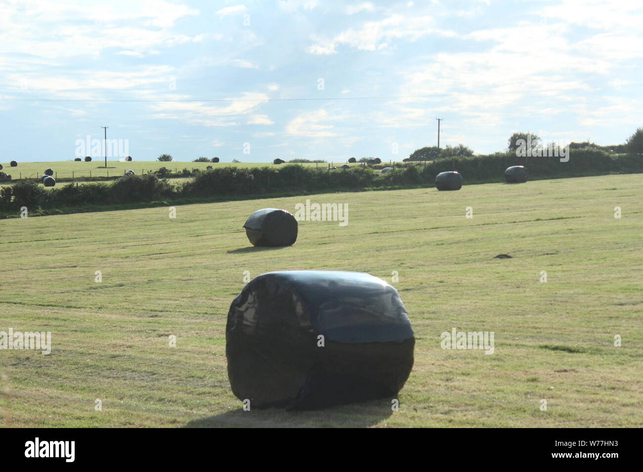 Black hay bales hi-res stock photography and images - Alamy