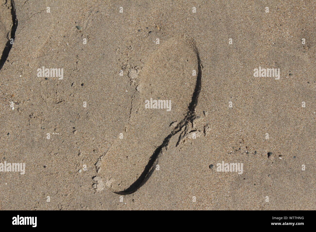 Close up footprint hi-res stock photography and images - Alamy