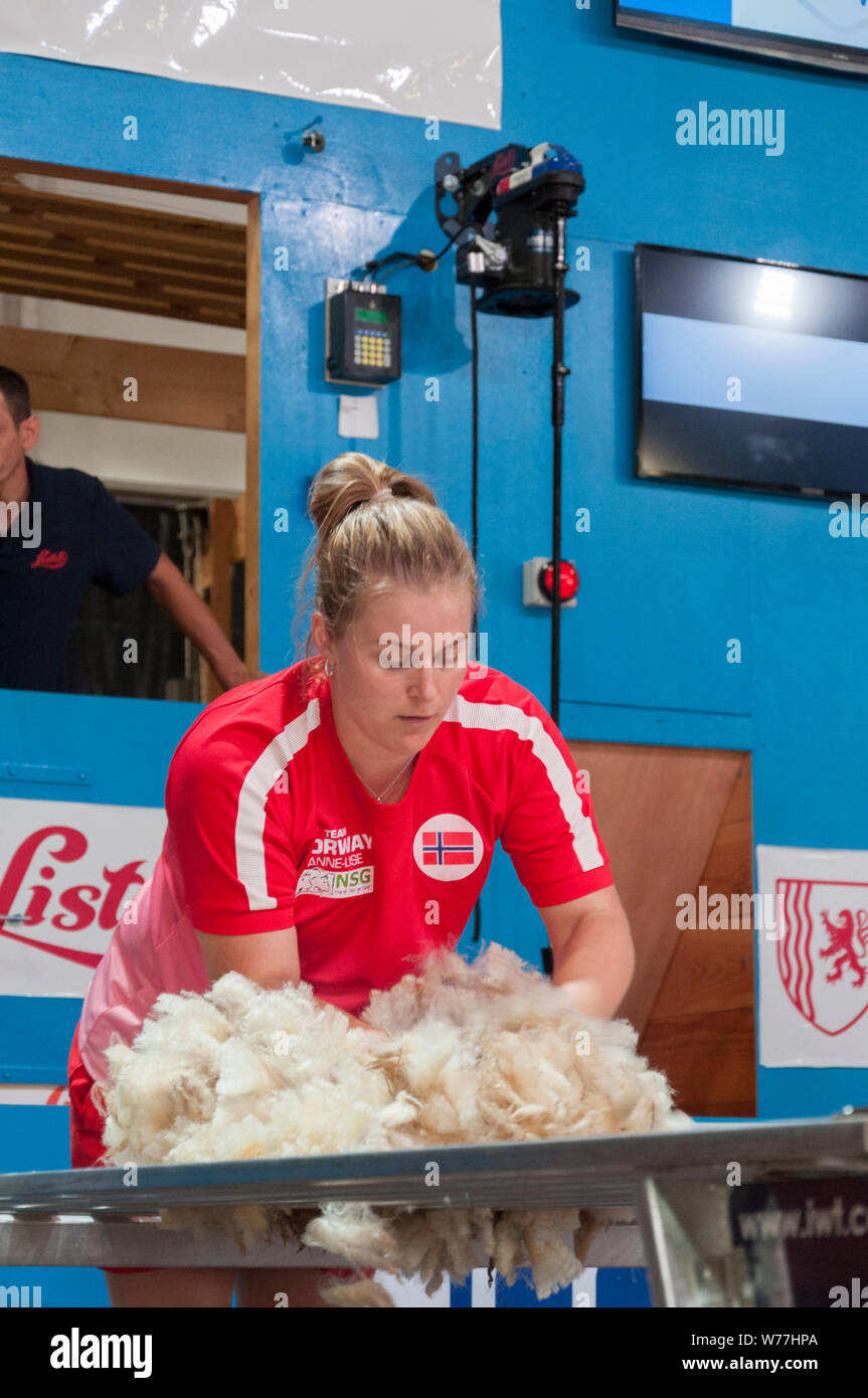 World Sheep Shearing Championships France 2019 Wool Handlers Stock ...