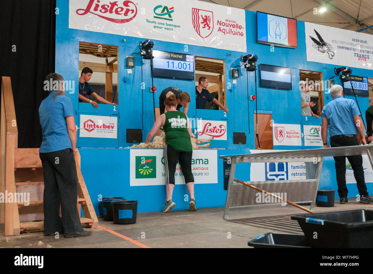 World Sheep Shearing Championships France 2019 Wool Handlers Stock ...