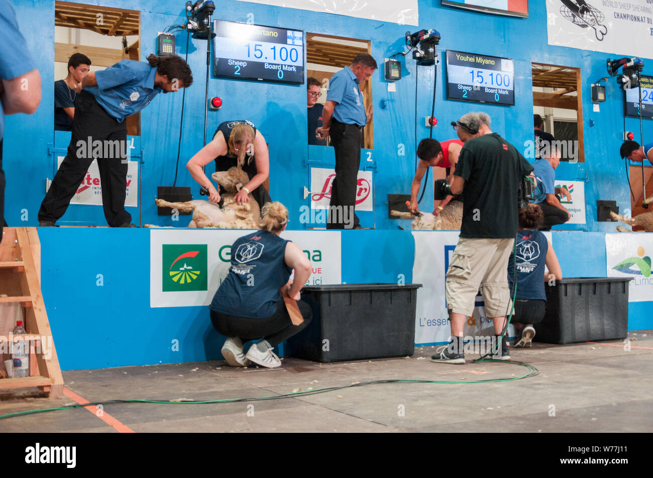 Wol handling hi-res stock photography and images - Alamy