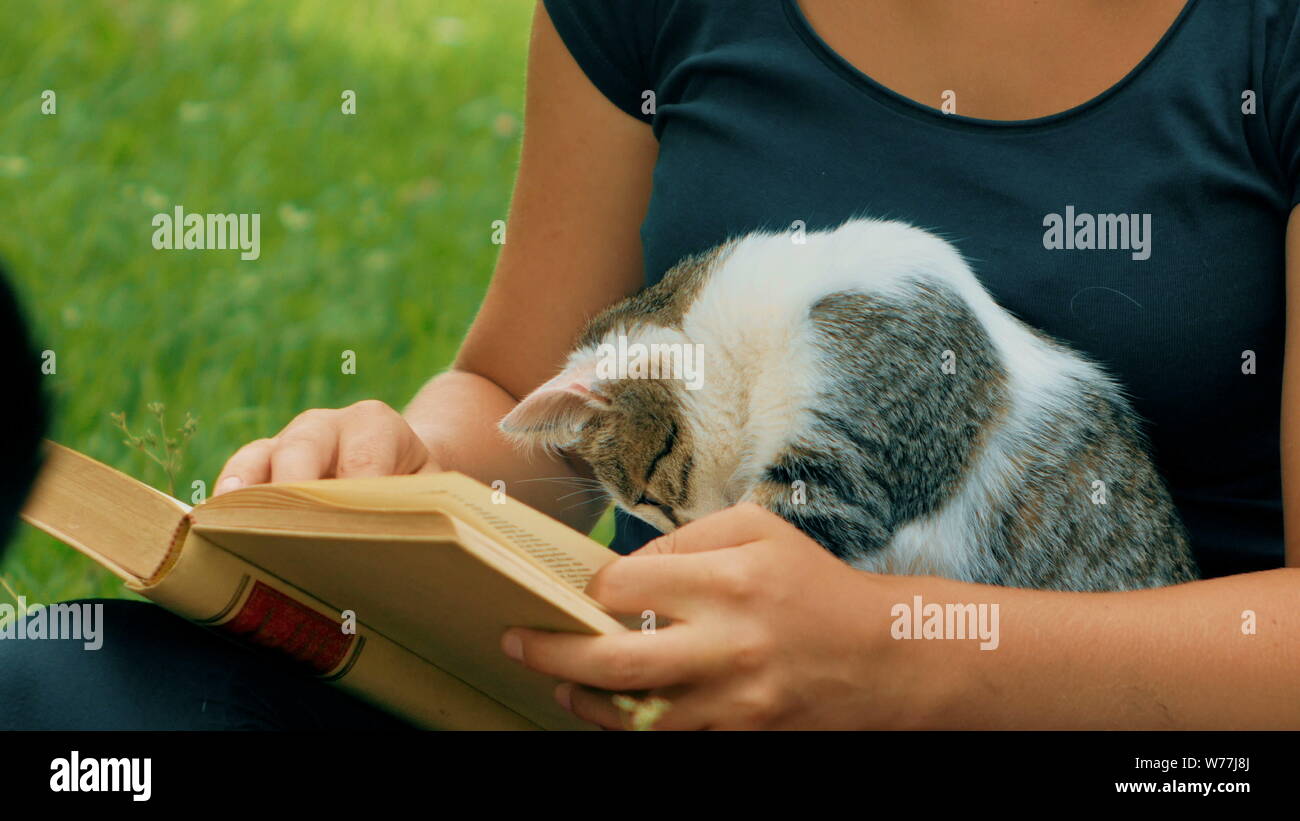 girl detail reads a book with a kitten playing with pages of the book ...