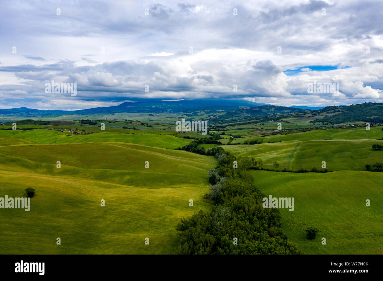 Rolling hills of Tuscany, Italy, on a sunny summers day. Fields and ...