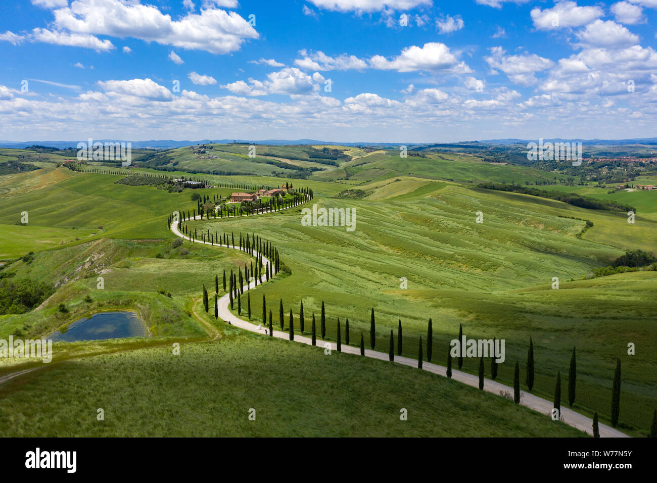 Rolling hills of Tuscany, Italy, on a sunny summers day. Cypress trees ...