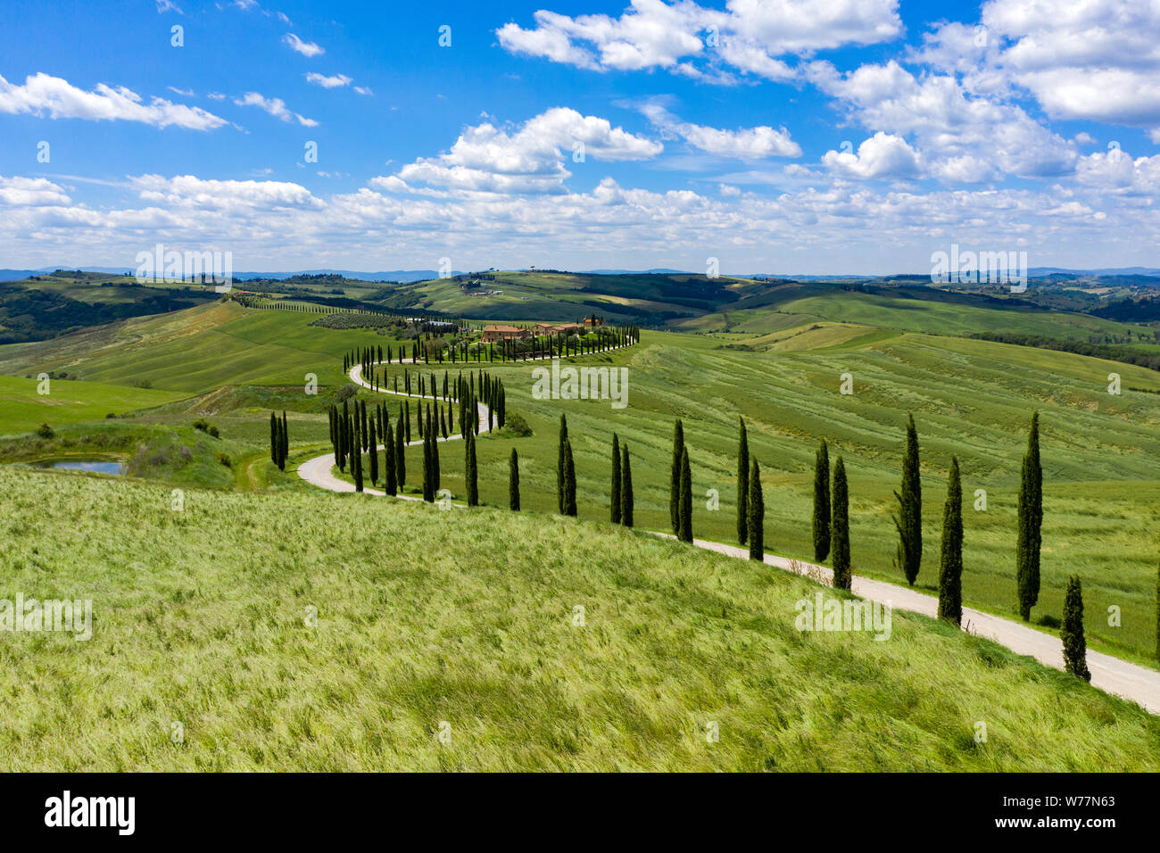 Rolling hills of Tuscany, Italy, on a sunny summers day. Cypress trees ...