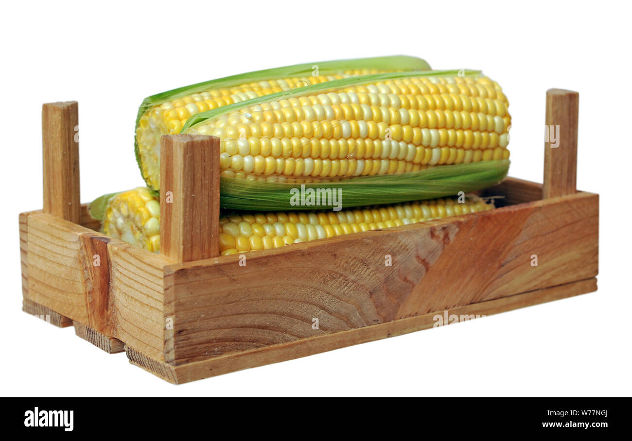 corn with cob in wooden crate Stock Photo - Alamy