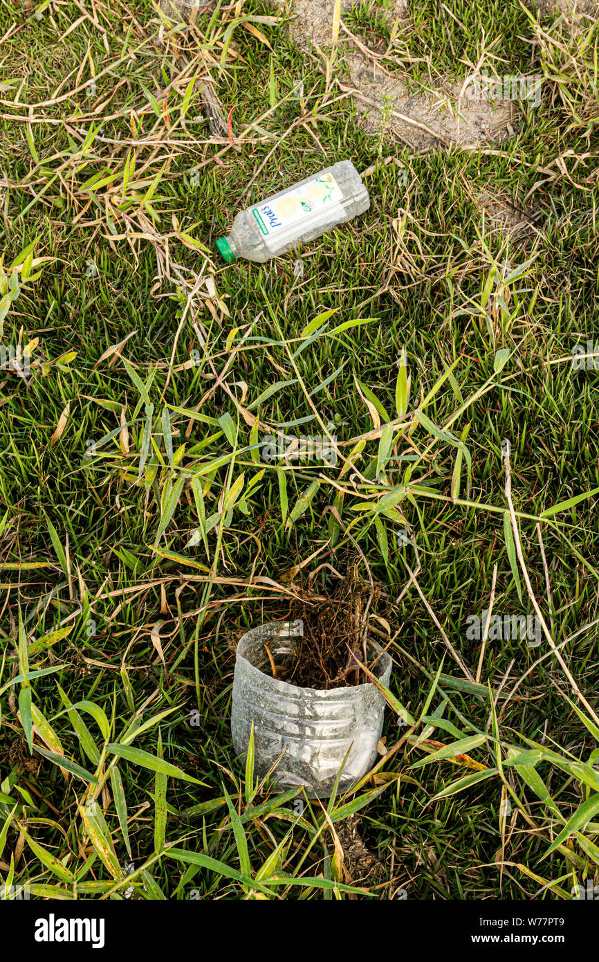 Plastic litter on the grass. Florianopolis, Santa Catarina, Brazil ...
