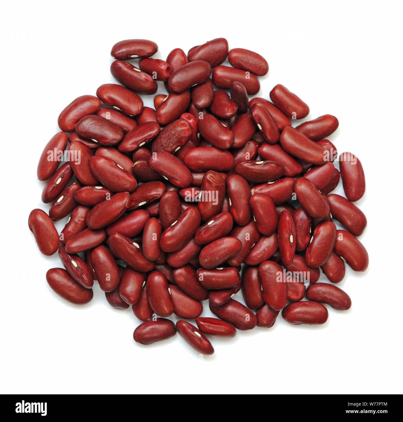red kidney bean on white Stock Photo - Alamy