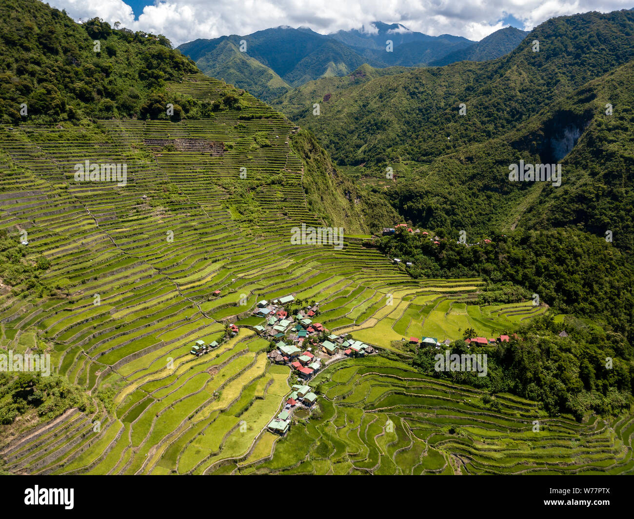Rice terraces aerial hi-res stock photography and images - Alamy