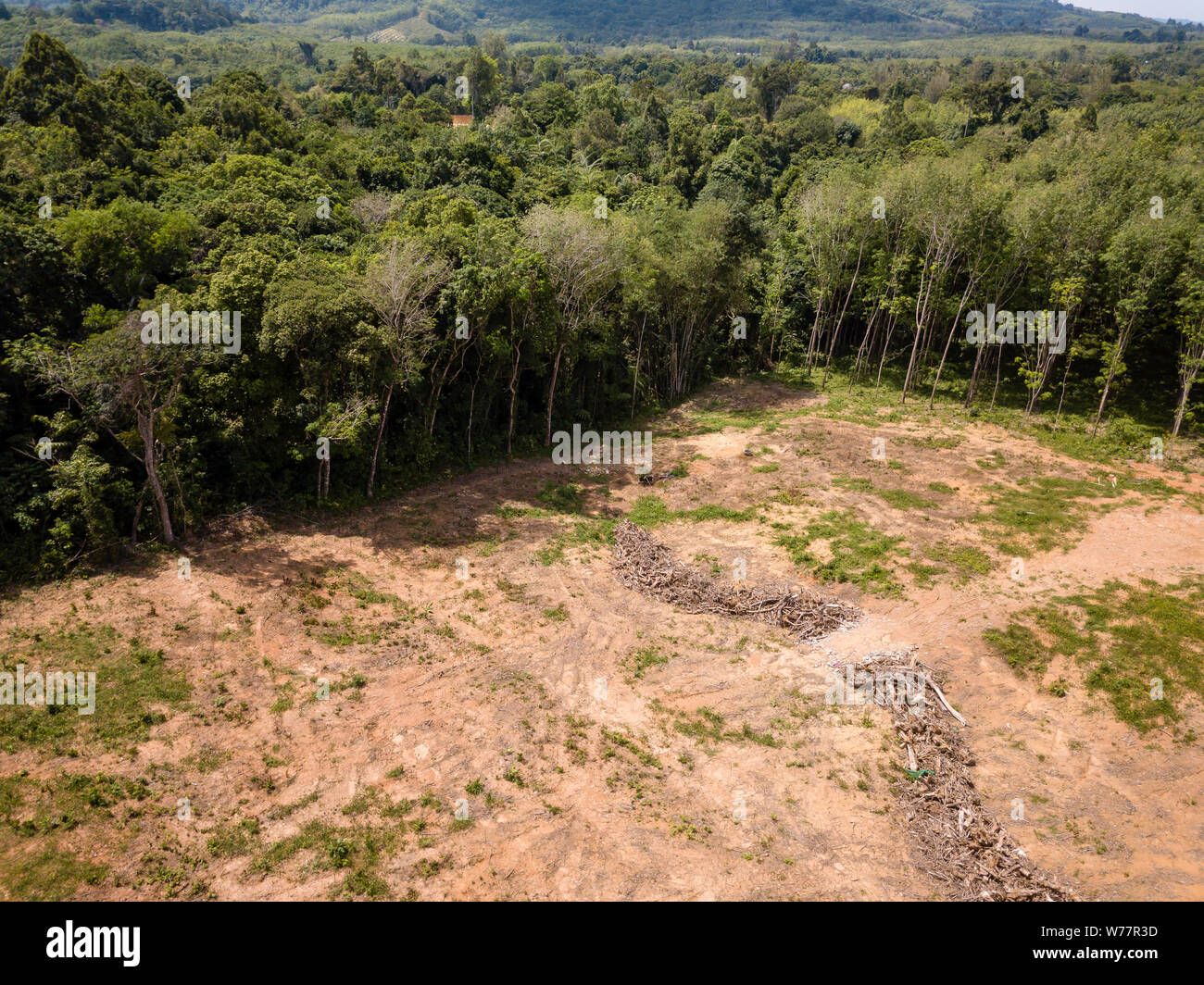 Rainforest deforestation aerial view hi-res stock photography and ...