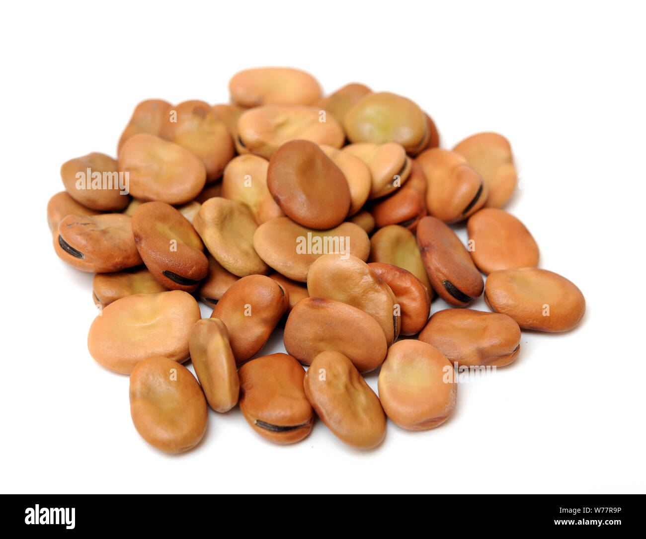 fava bean on white background Stock Photo - Alamy