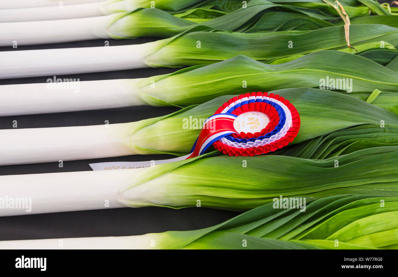 Show leeks hi-res stock photography and images - Alamy