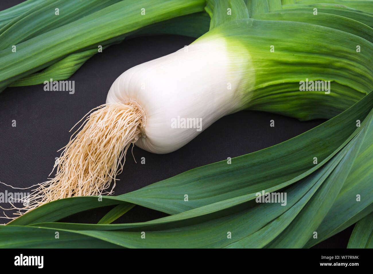 Show leeks hi-res stock photography and images - Alamy