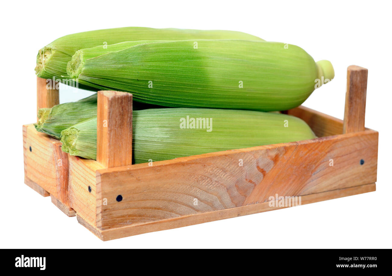 corn in crate isolated on white Stock Photo - Alamy